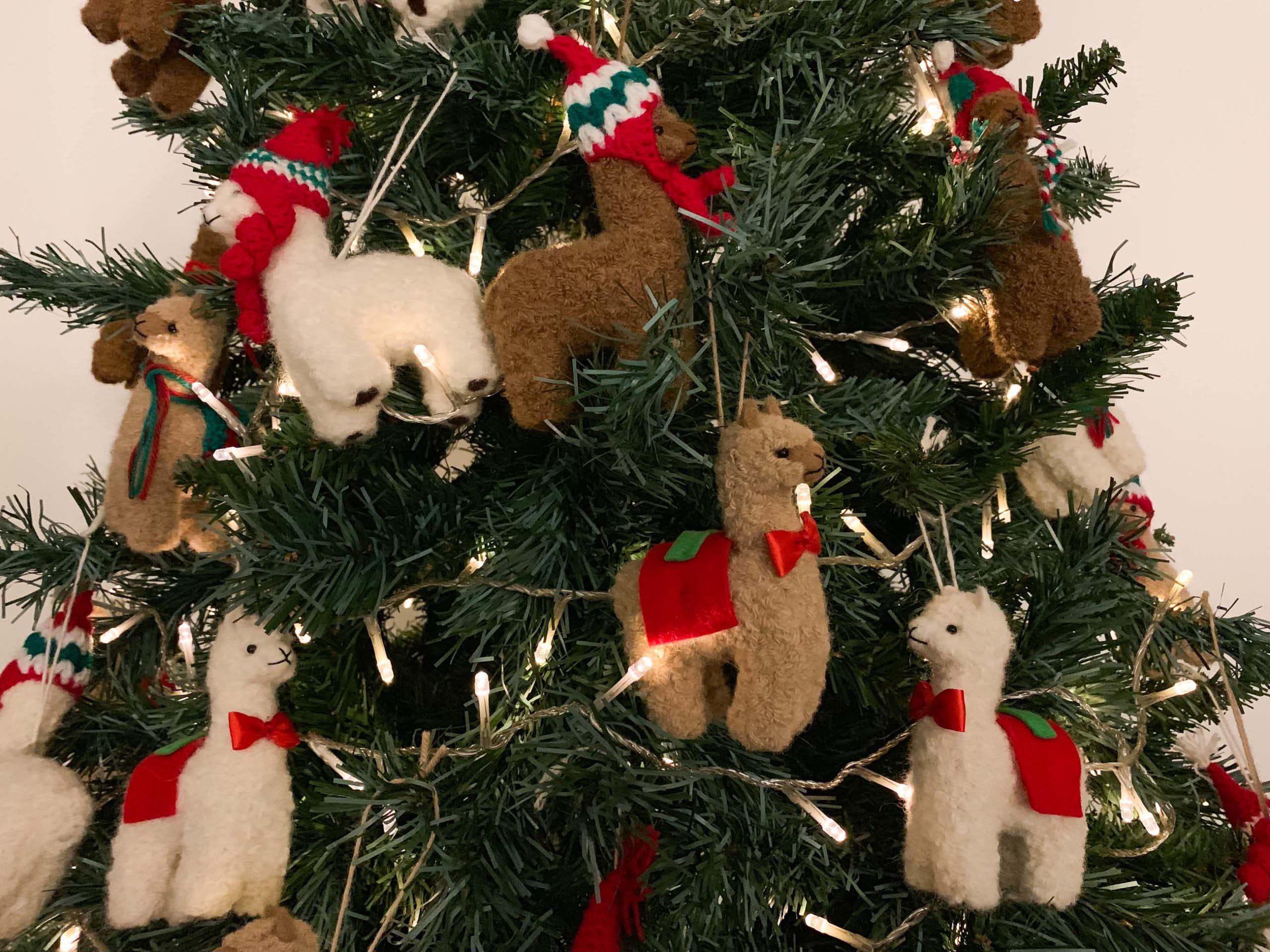 Christmas Pack - Warmpaca